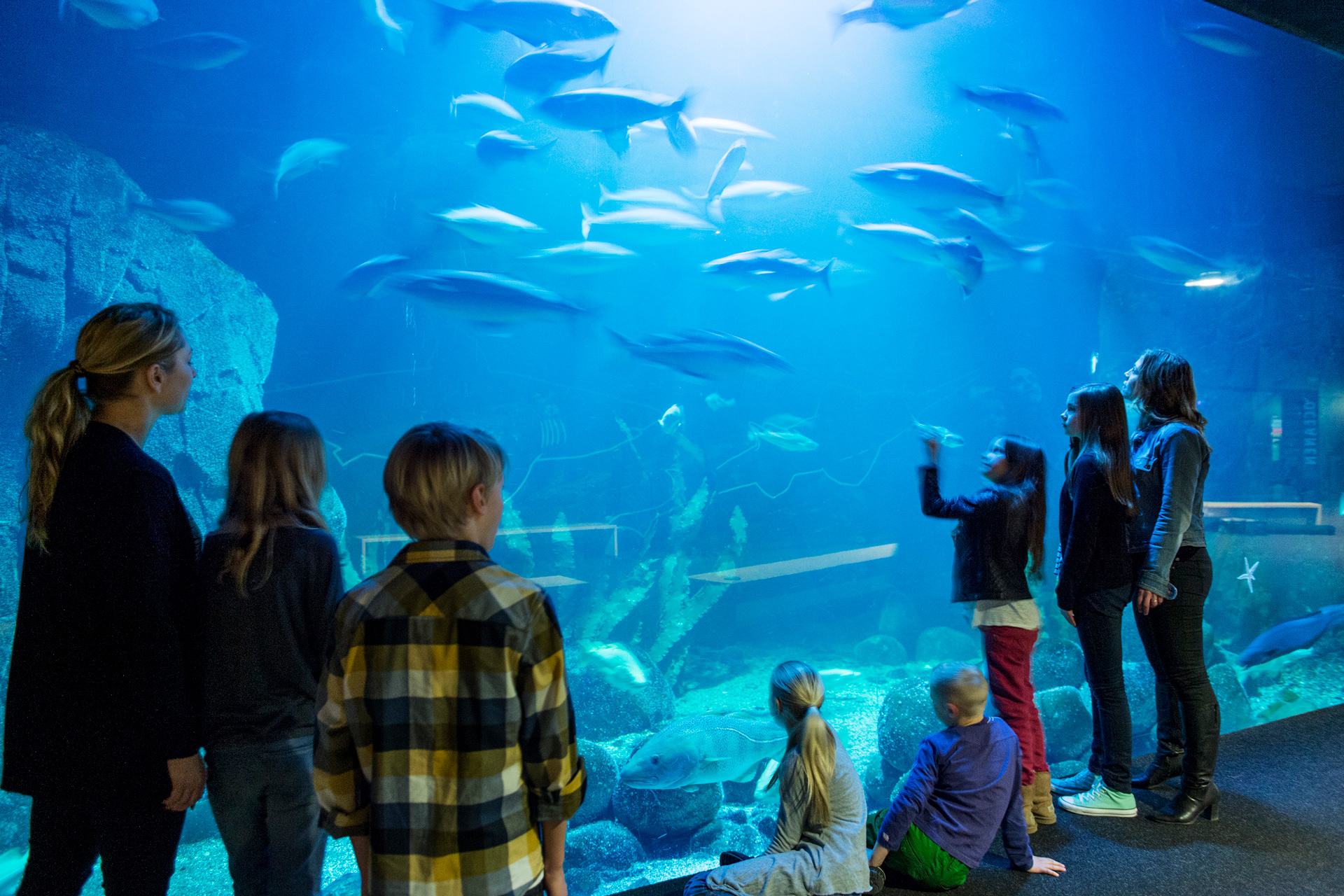 Universeum Pris Hotels With Parking Garage In Gothenburg | Book Your