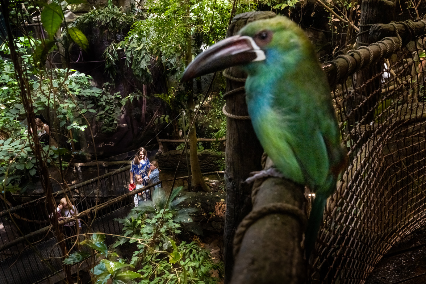 Bokning och priser | Universeum
