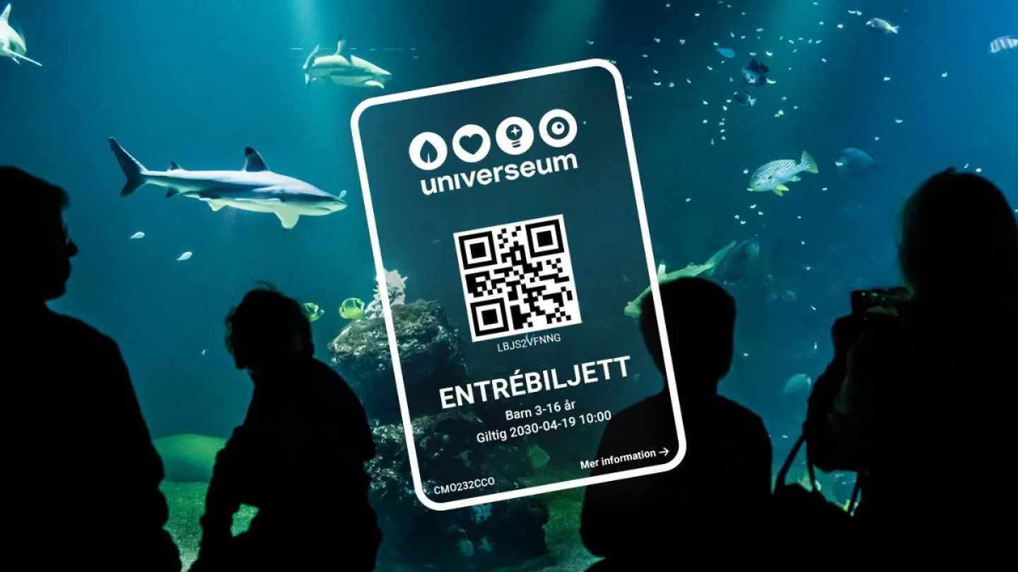 Entré | Universeum