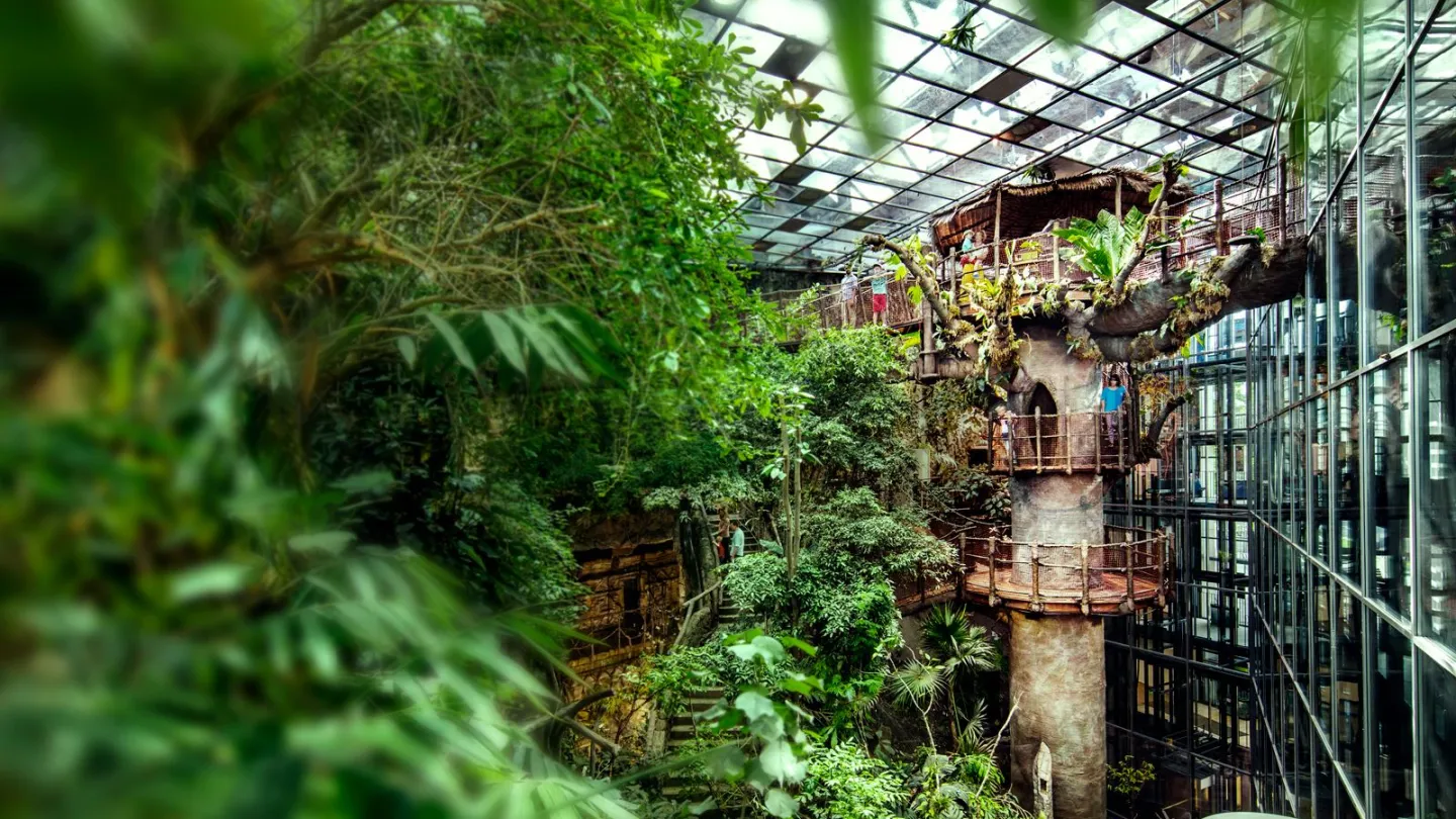 Admission (School) | Universeum